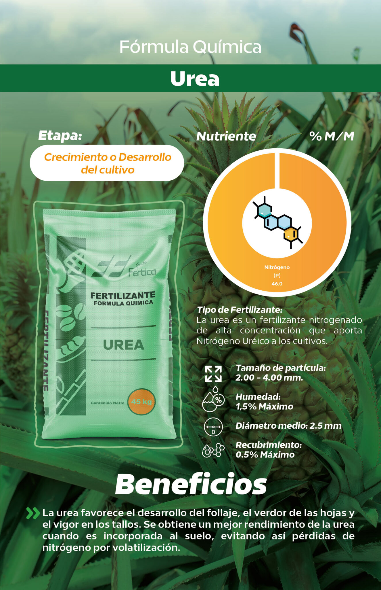 Urea – Fertica